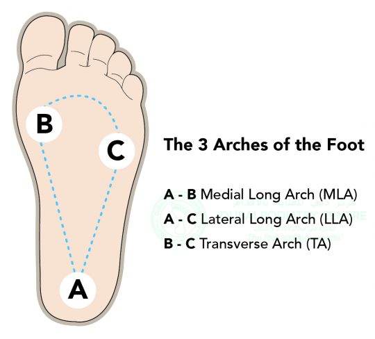 How Many Arches Does Your Foot Have? | Dubai Podiatry Centre